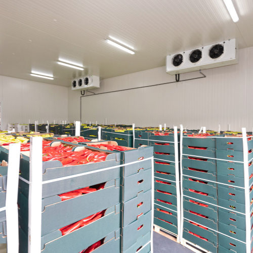 Cold Storage Construction – worldtechhomes